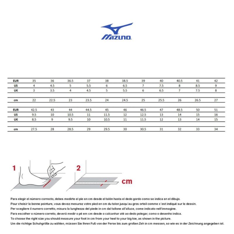 Mizuno Mujin 11: Durability and Protection on the Trail